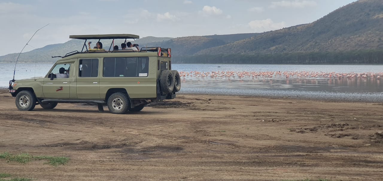 Savanna Secrets Safaris - Savanna Secrets Safaris